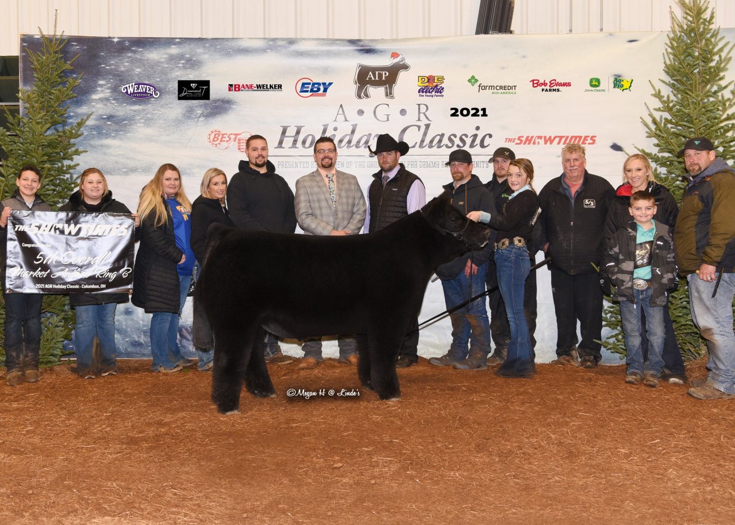 Simon Cattle | CHAMPIONS