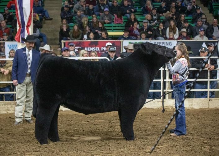 Simon Cattle | CHAMPIONS