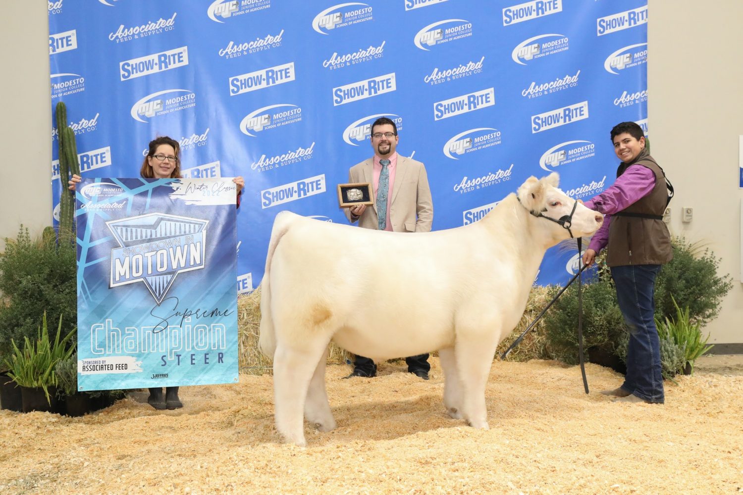 Simon Cattle | CHAMPIONS