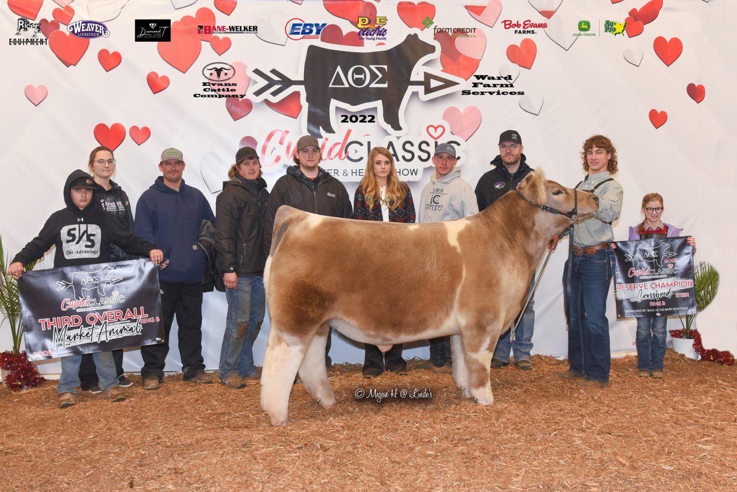 Simon Cattle | CHAMPIONS