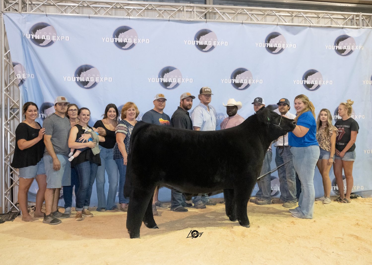 Simon Cattle | CHAMPIONS